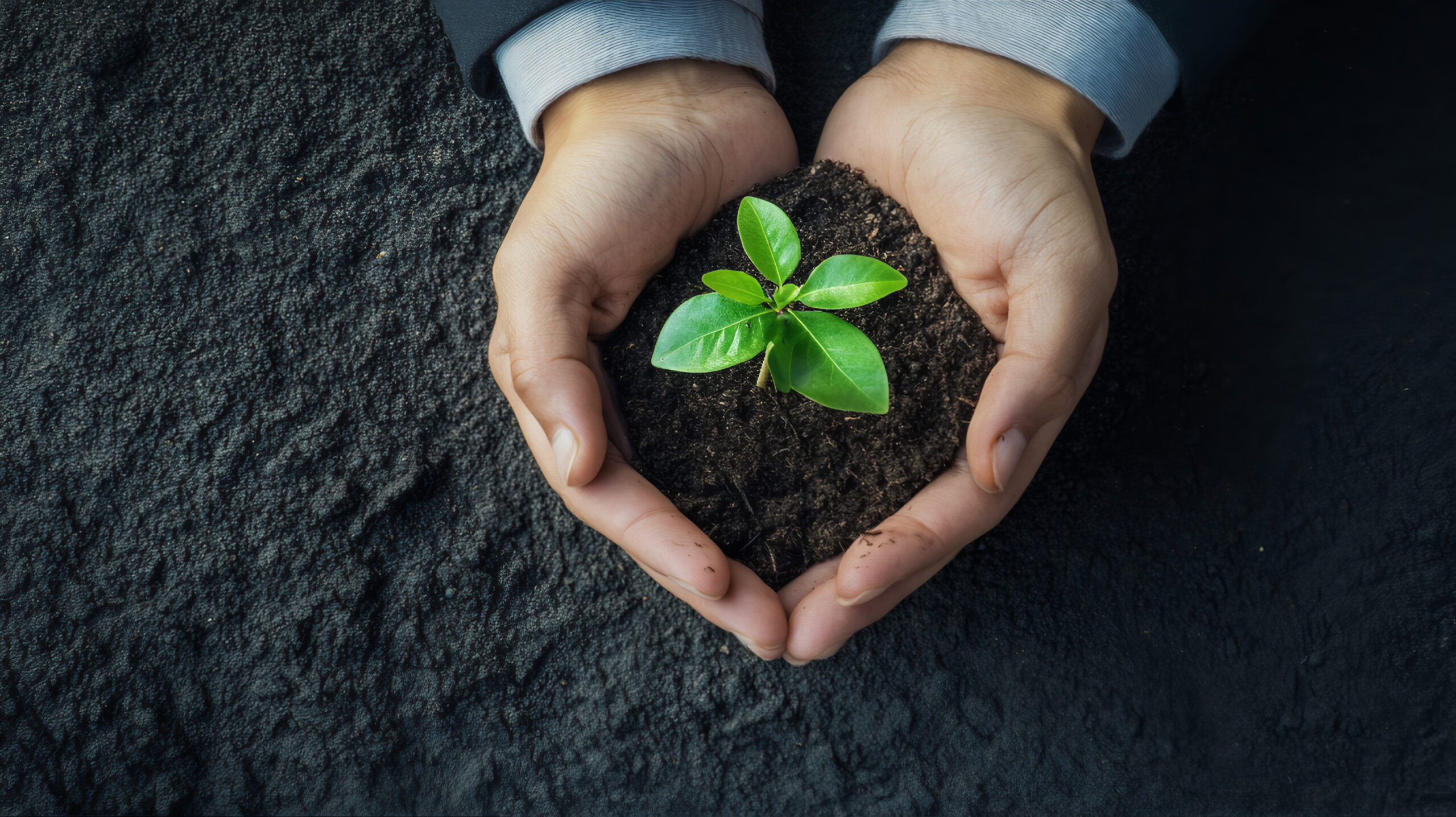 Uusi kumppanuus synnytti asiantuntijapalvelun elintarvikealan ...